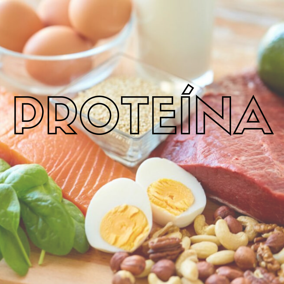 Proteína: qué es, cuánta y dónde la encontramos. | Riusec Nutrición