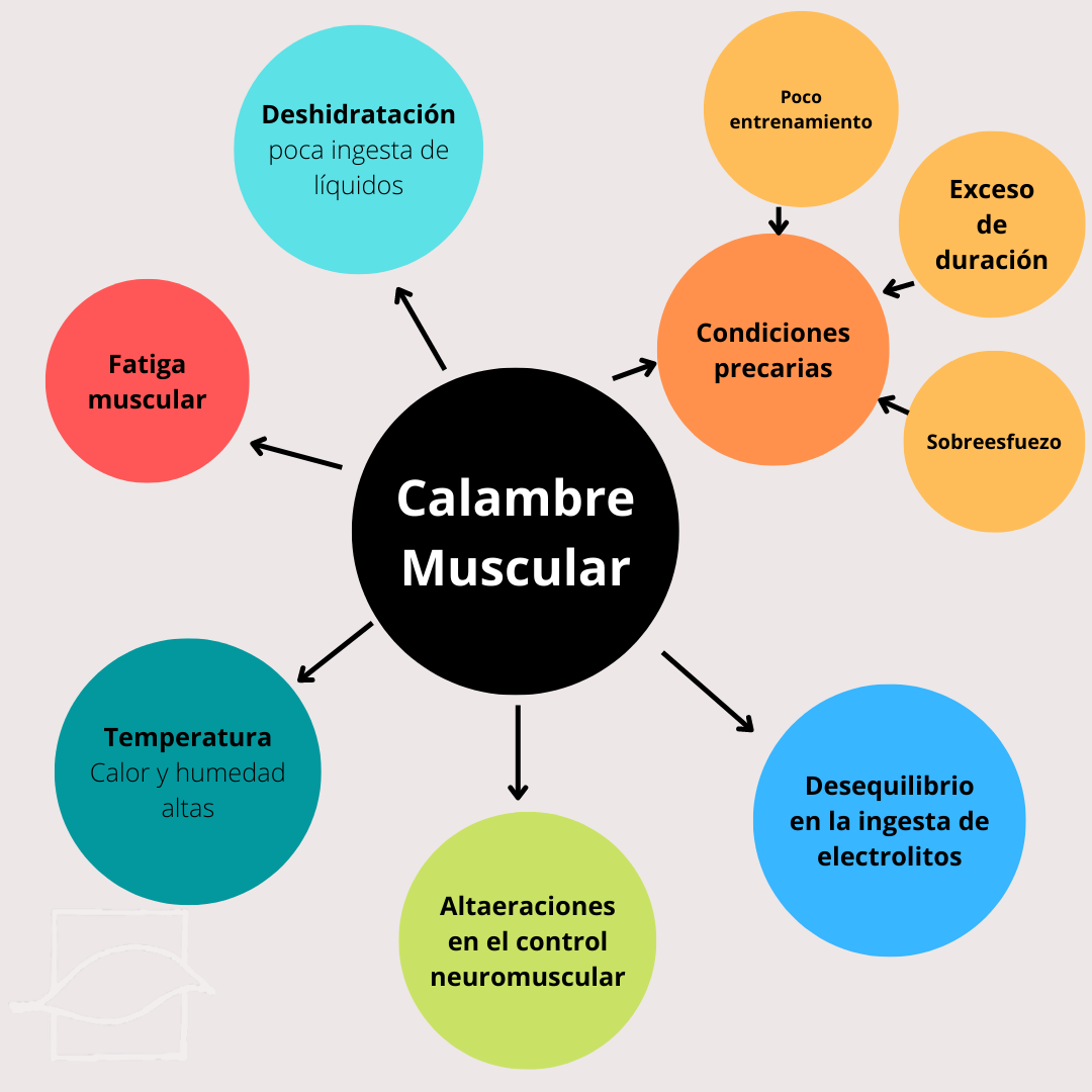 ¿Qué causan los calambres musculares? | Riusec Nutrición